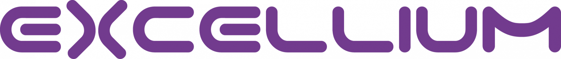 Excellium Services SA - TELECOM NANCY